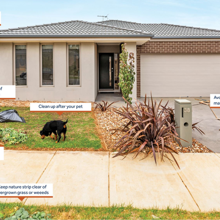 Unsightly or Overgrown Property | Wyndham City