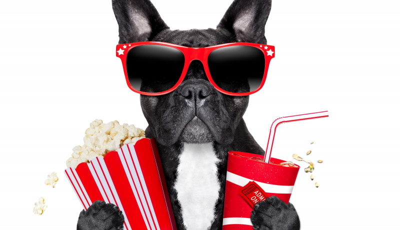 Manor Lakes Library | Wyndham City