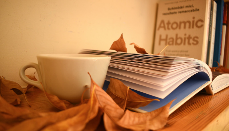 Point Cook Library | Wyndham City